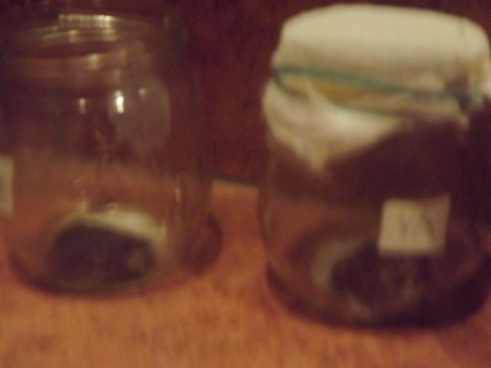 experimento de redi alenka dueñas: Experiemento de Redi